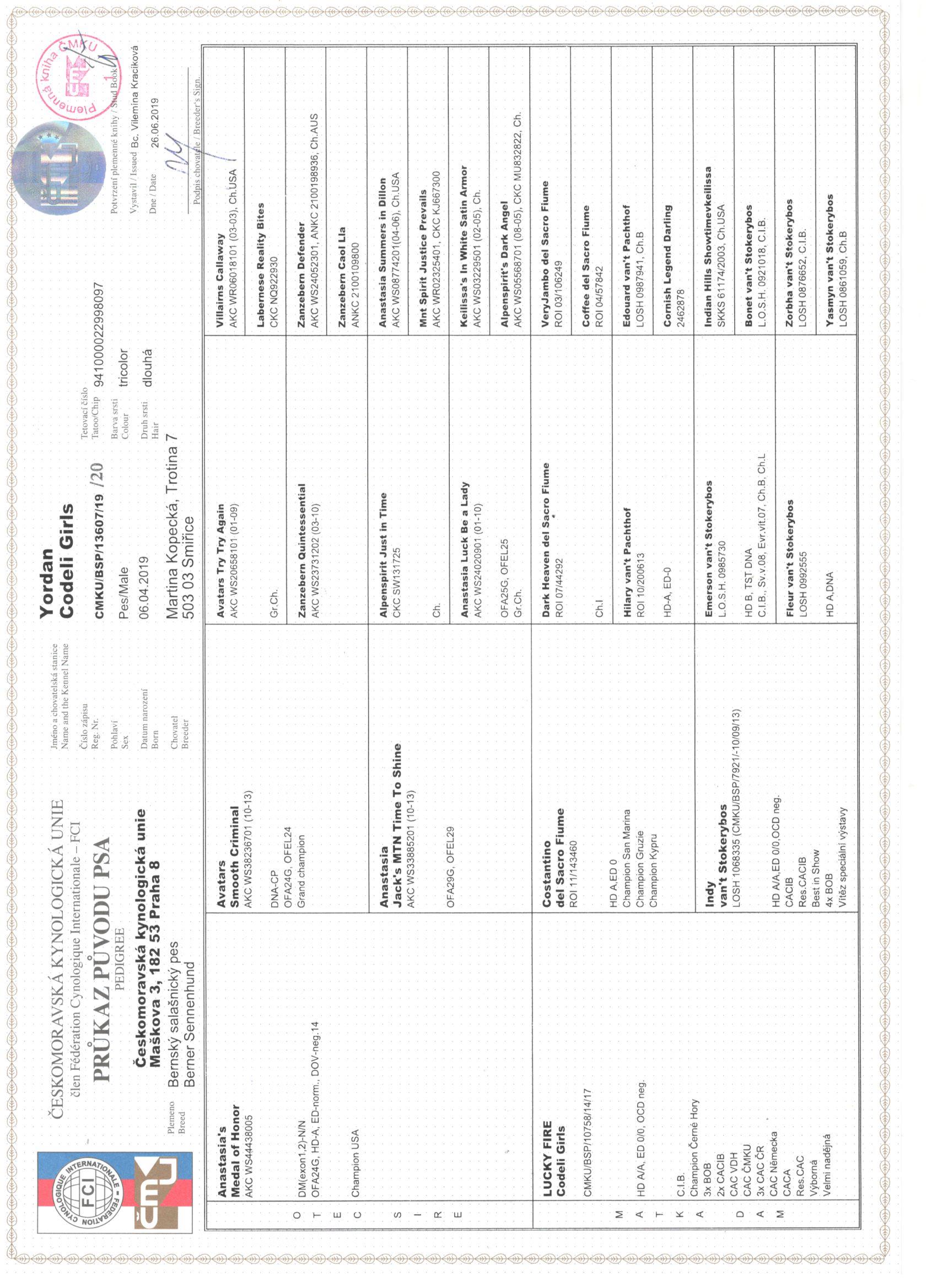 YORDAN Codeli Girls :: Codeli